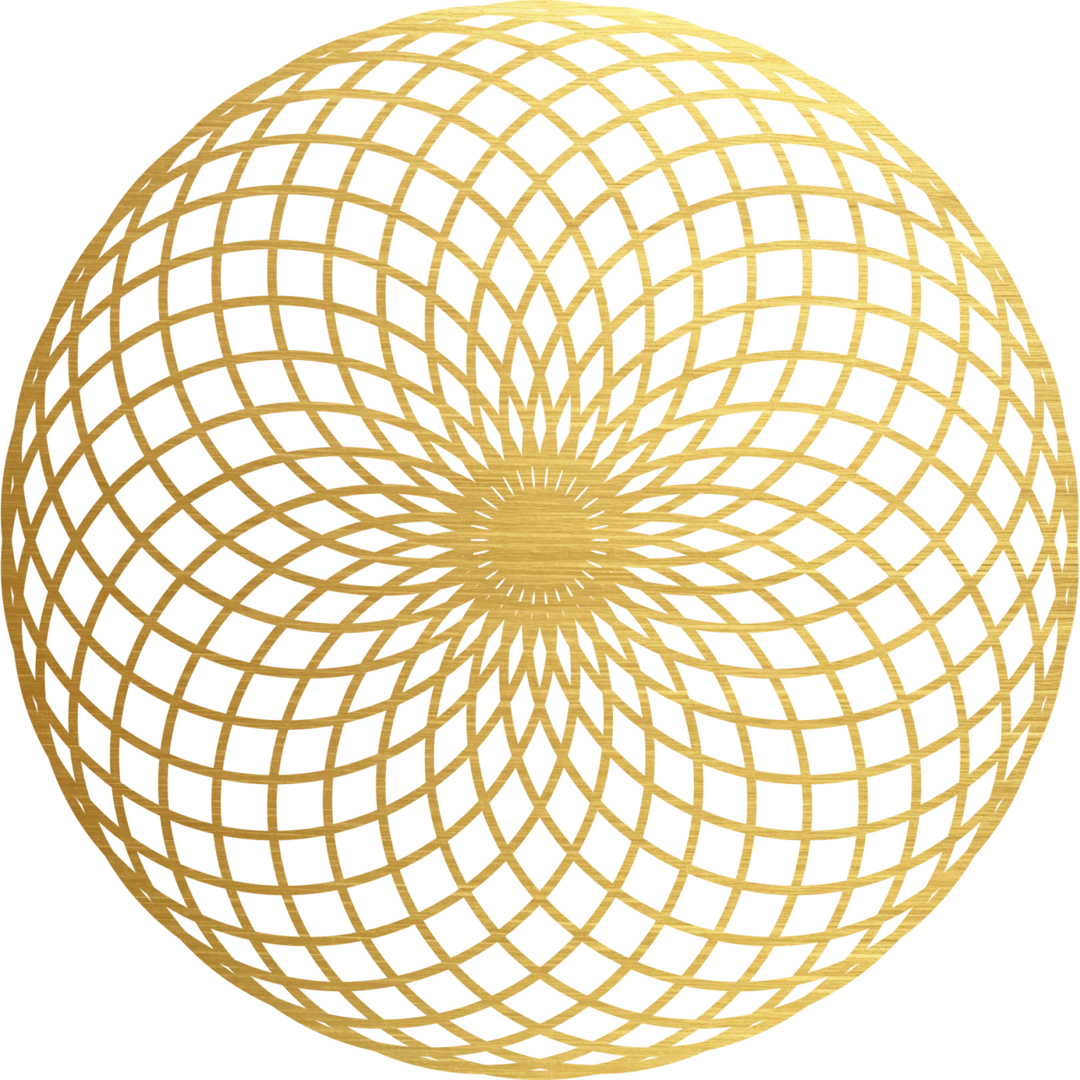 The Embodied Letters - Thrive with Marina